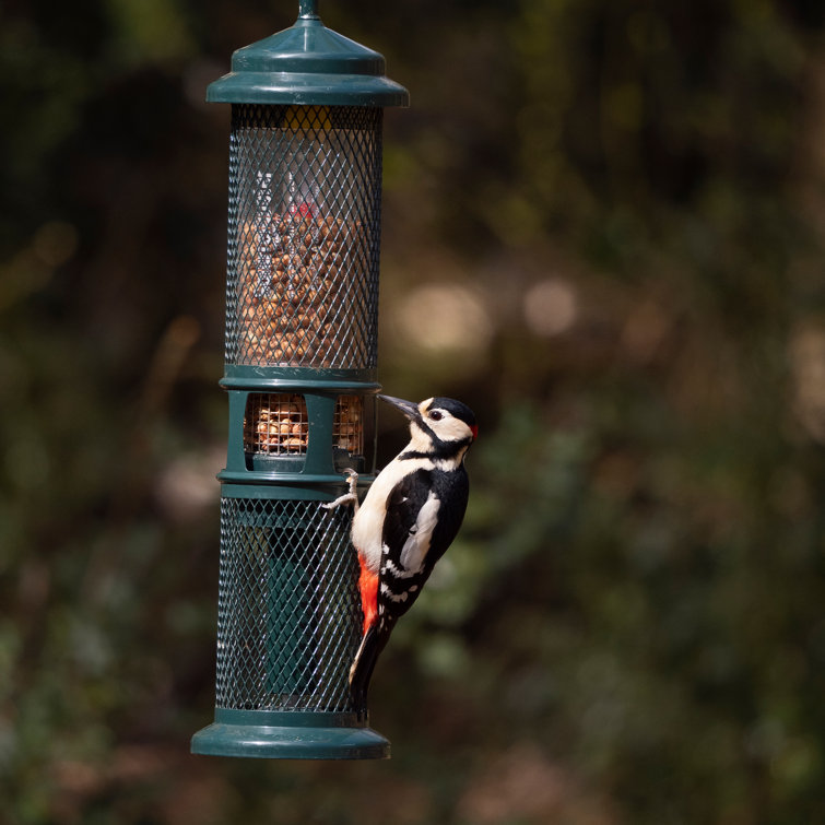 Jacobi Jayne Squirrel Buster Peanut - Squirrel-proof Bird Feeder ...