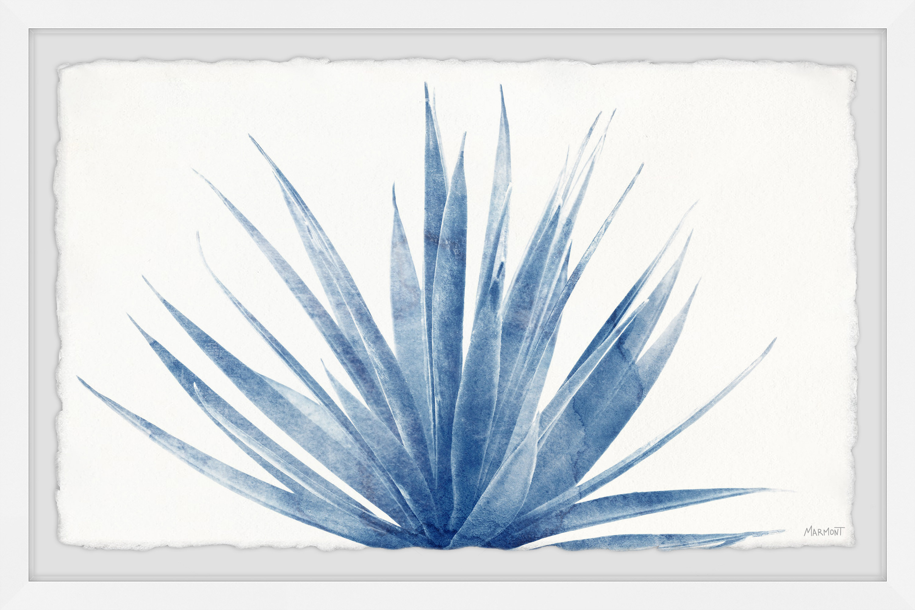Bay Isle Home Blue Glow Agave - Picture Frame Photograph | Wayfair
