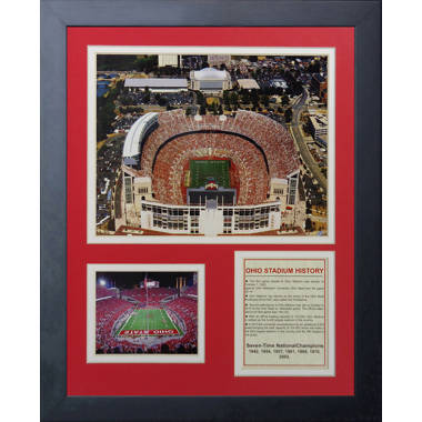 Trademark Global Ohio State University Picture Frame Graphic Art on ...