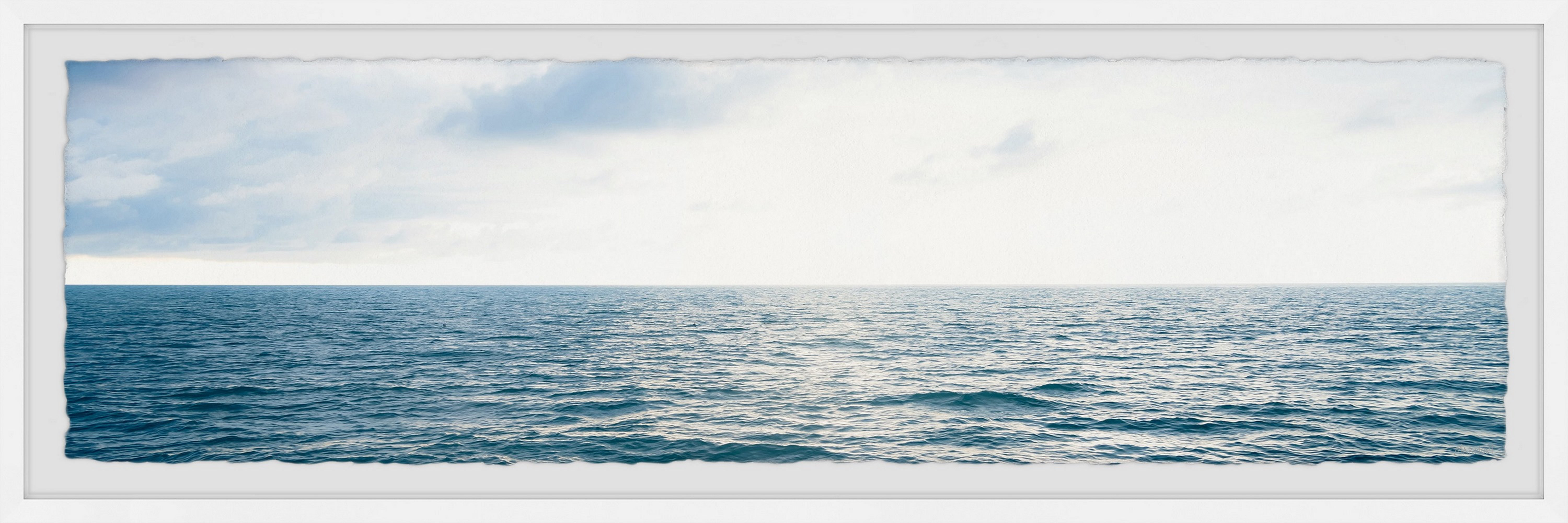 Rosecliff Heights Dive Into The Ocean - Single Picture Frame Panoramic ...