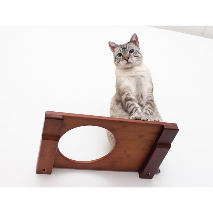 Tucker Murphy Pet™ Spurlin Scape Hatch Handcrafted Elevated Cat Perch ...