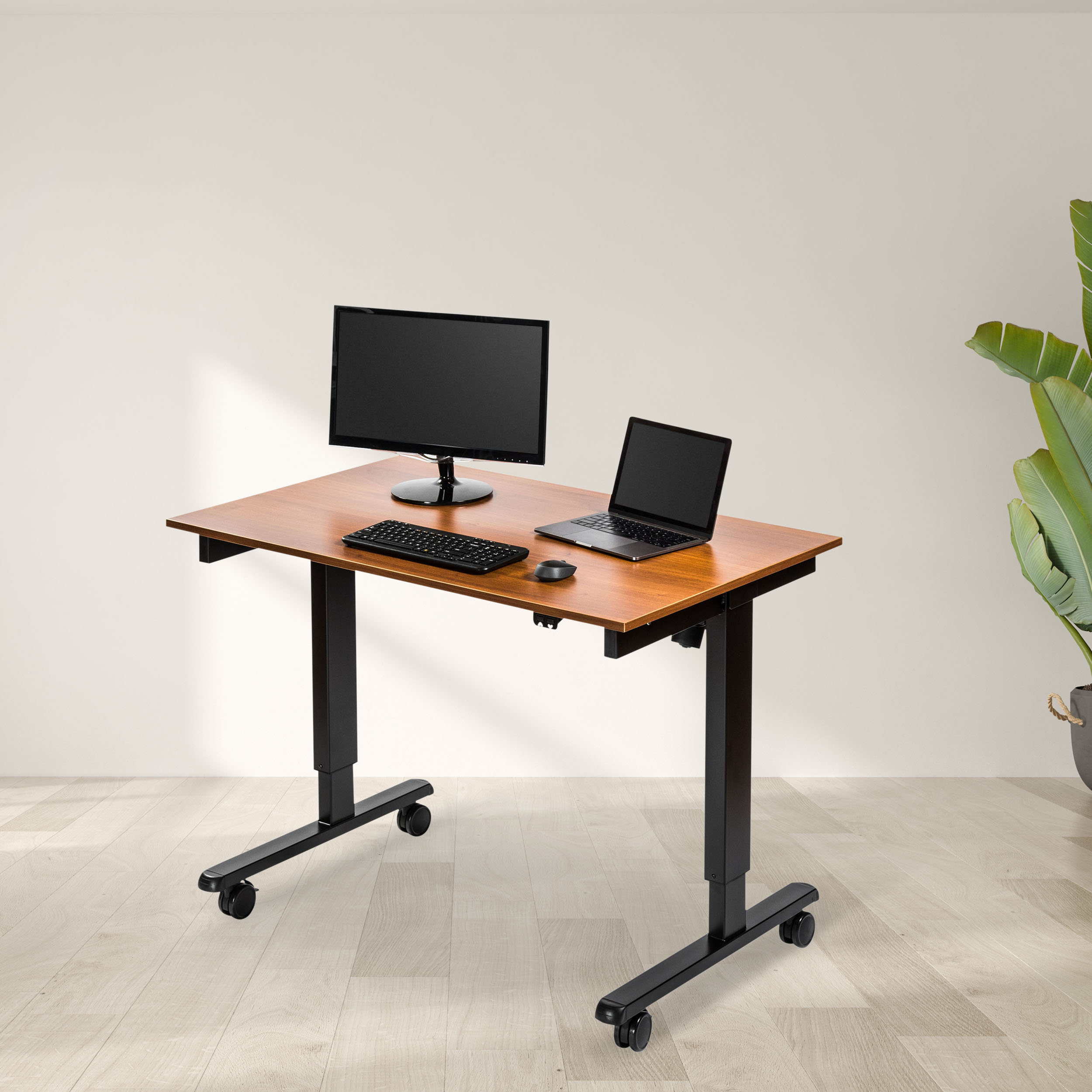 StandUpDeskStore Desk & Reviews | Wayfair