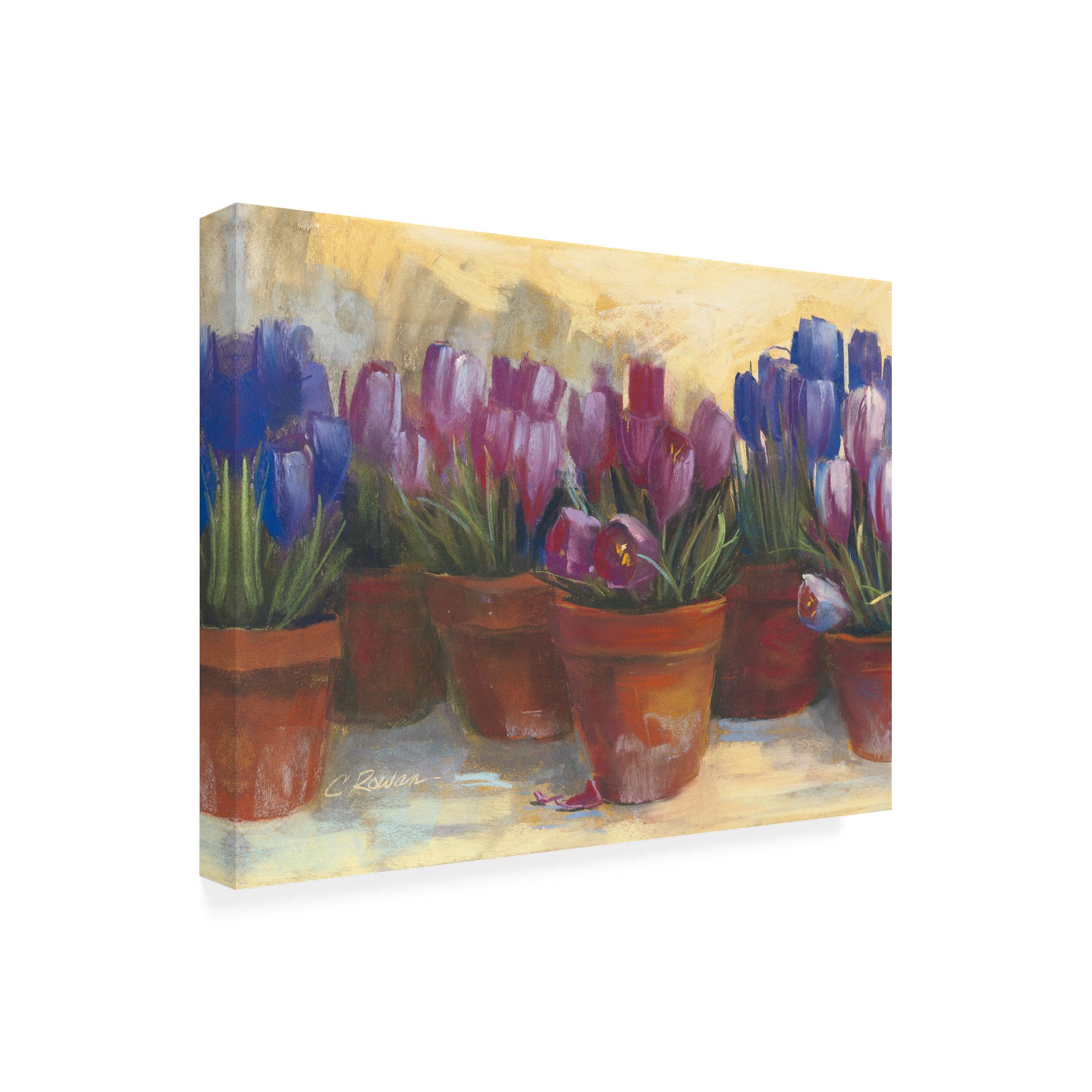 Red Barrel Studio® Carol Rowan Spring Crocus Outdoor Canvas | Wayfair