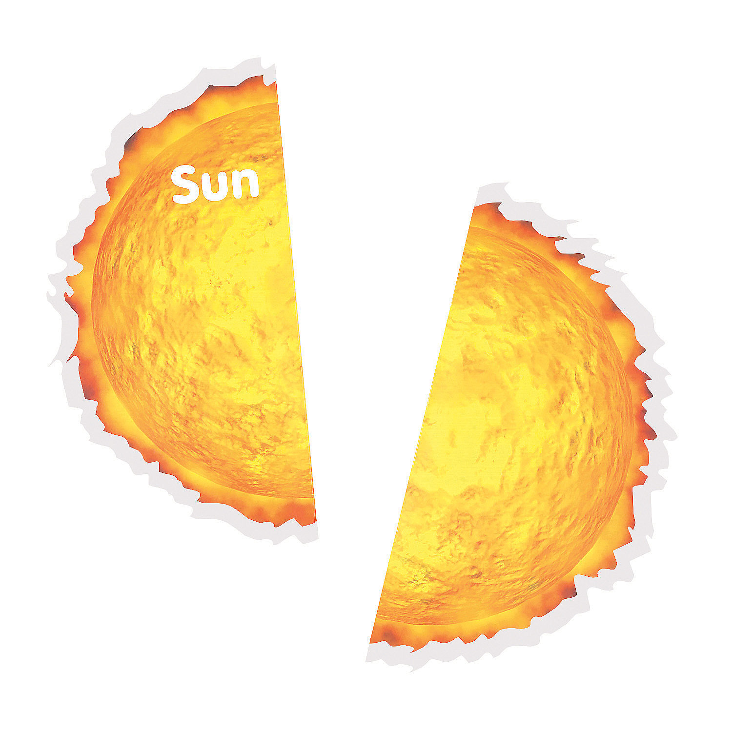 Oriental Trading Company Science Window Cling | Wayfair