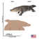 Advanced Graphics American Alligator Cardboard Stand-Up & Reviews | Wayfair