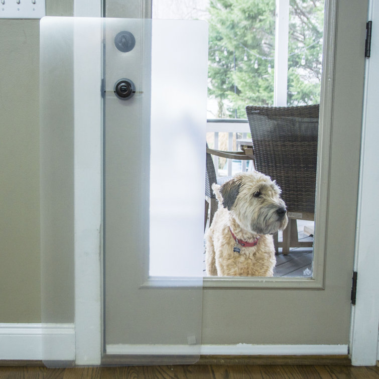 How Do I Protect My Door From Dog Scratches