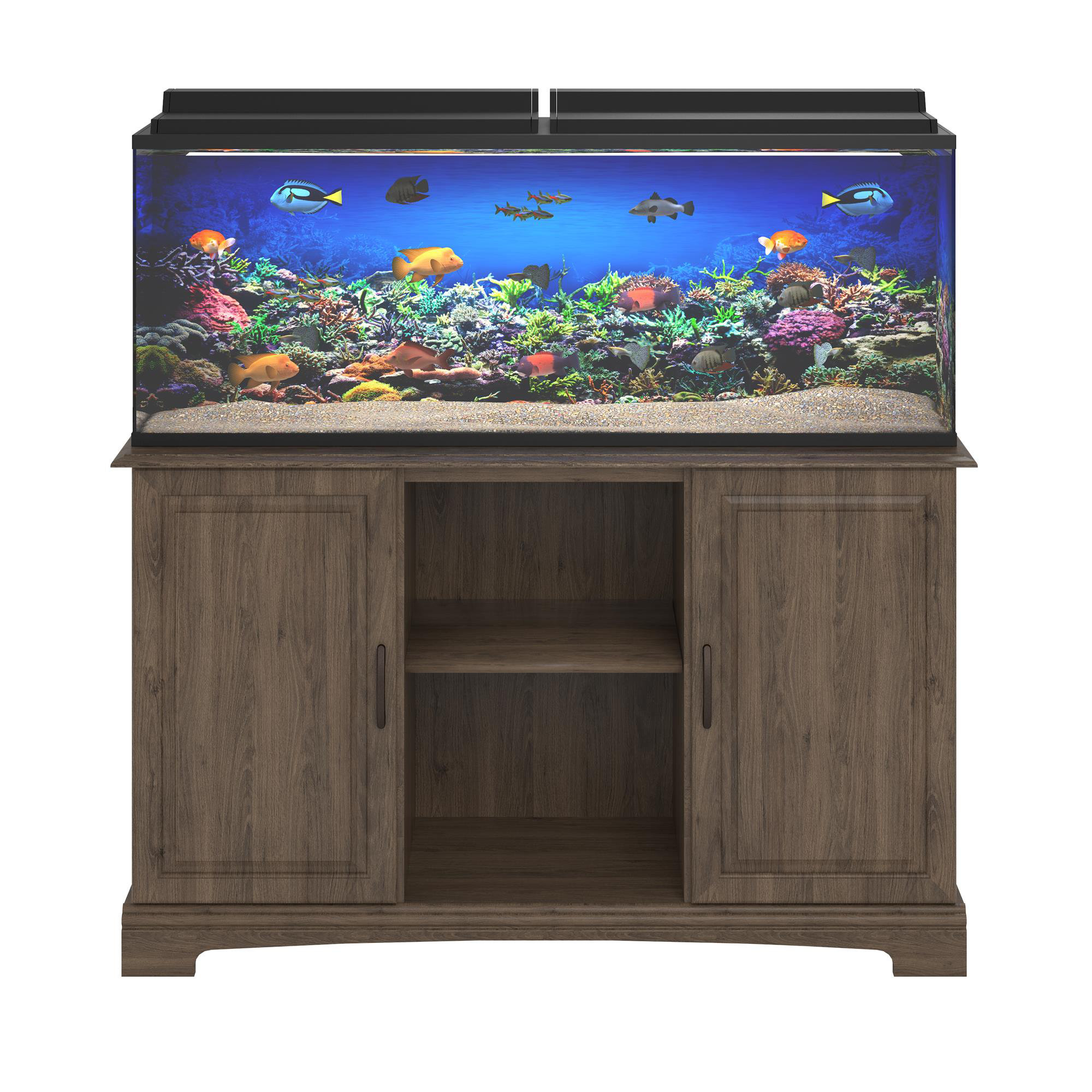 Archie & Oscar™ Deirdre Rectangle Aquarium Stand & Reviews | Wayfair