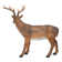 Design Toscano Big Rack Buck Deer Statue & Reviews | Wayfair.co.uk