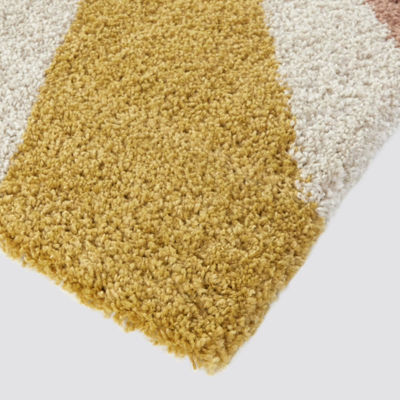 Wade Logan® Amayas Sunshine Rainbow Shag Rug & Reviews | Wayfair