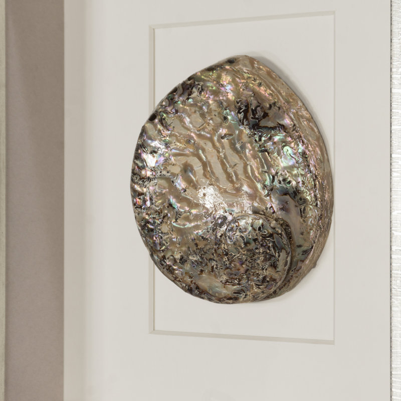 Rosecliff Heights 2 Piece Abalone & Pearl Shell Shadow Box Wall Décor ...