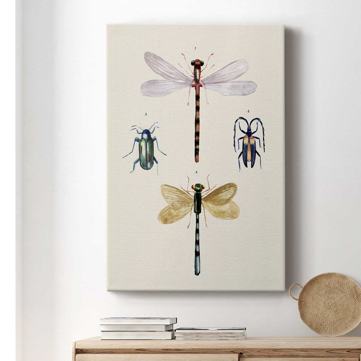 August Grove® Insect Varieties I Insect Varieties I - Wrapped Canvas ...