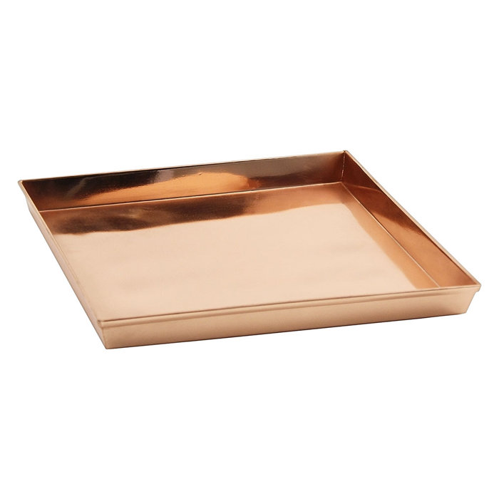 Ivy Bronx Metal Tray & Reviews | Wayfair