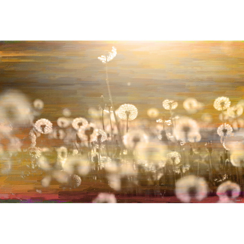 ParvezTaj Field' By Parvez Taj by Parvez Taj - Photograph on Canvas ...