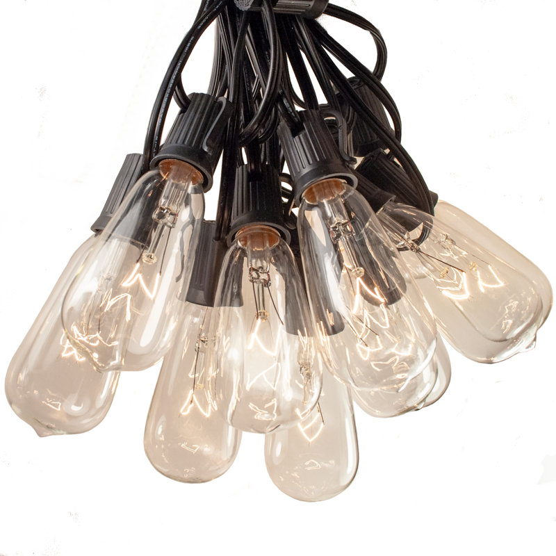 HometownEvolutionInc Edison String Lights Outdoor 50 - Bulb Plug-in ...