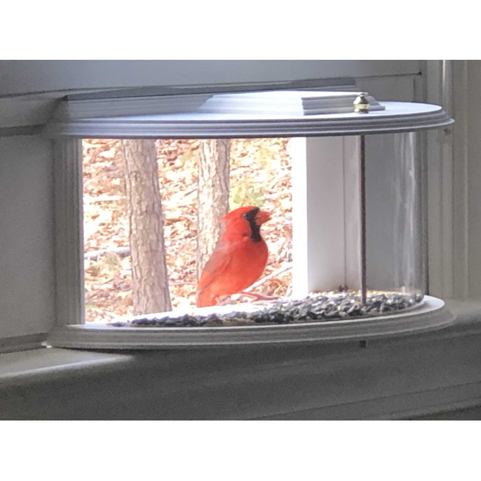 Arlmont & Co. Krick View Window Tray Bird Feeder & Reviews | Wayfair