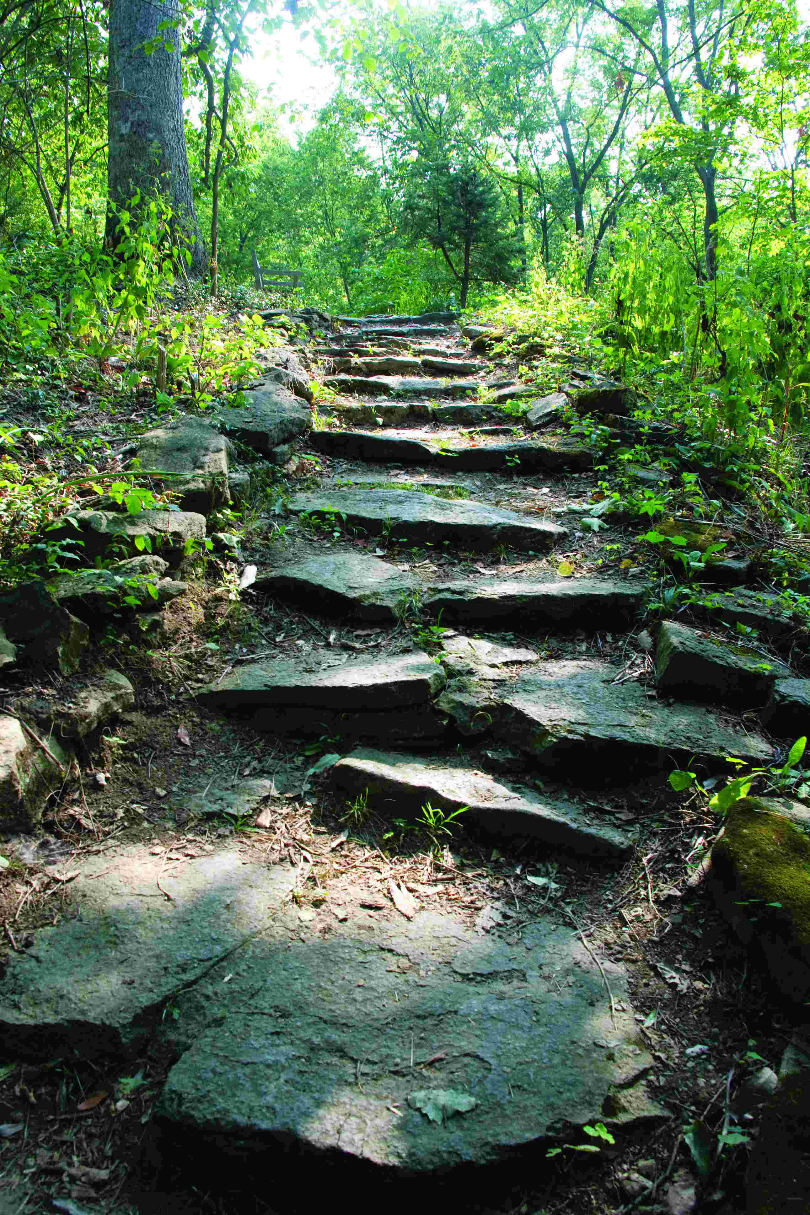 Millwood Pines Stone Steps 2 - Wrapped Canvas Photograph | Wayfair