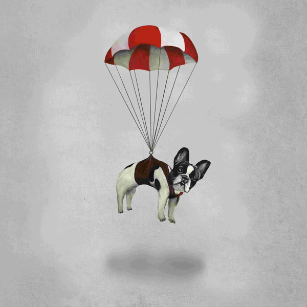 Winston Porter Flying Frenchie - Wrapped Canvas Graphic Art | Wayfair