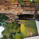 Design Toscano Hellion the Devil Gargoyle Statue & Reviews | Wayfair