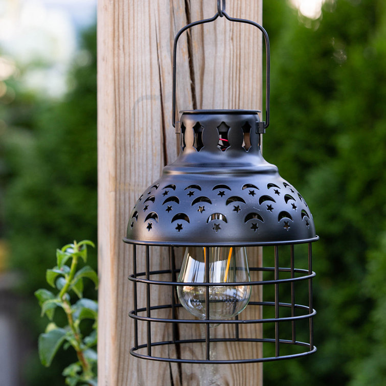 Echo Valley 8.5" Solar Powered Integrated LED Outdoor Lantern | Wayfair