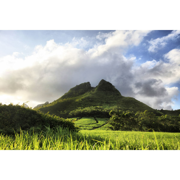 Millwood Pines Mountain In Mauritius by Sansara - Wrapped Canvas ...