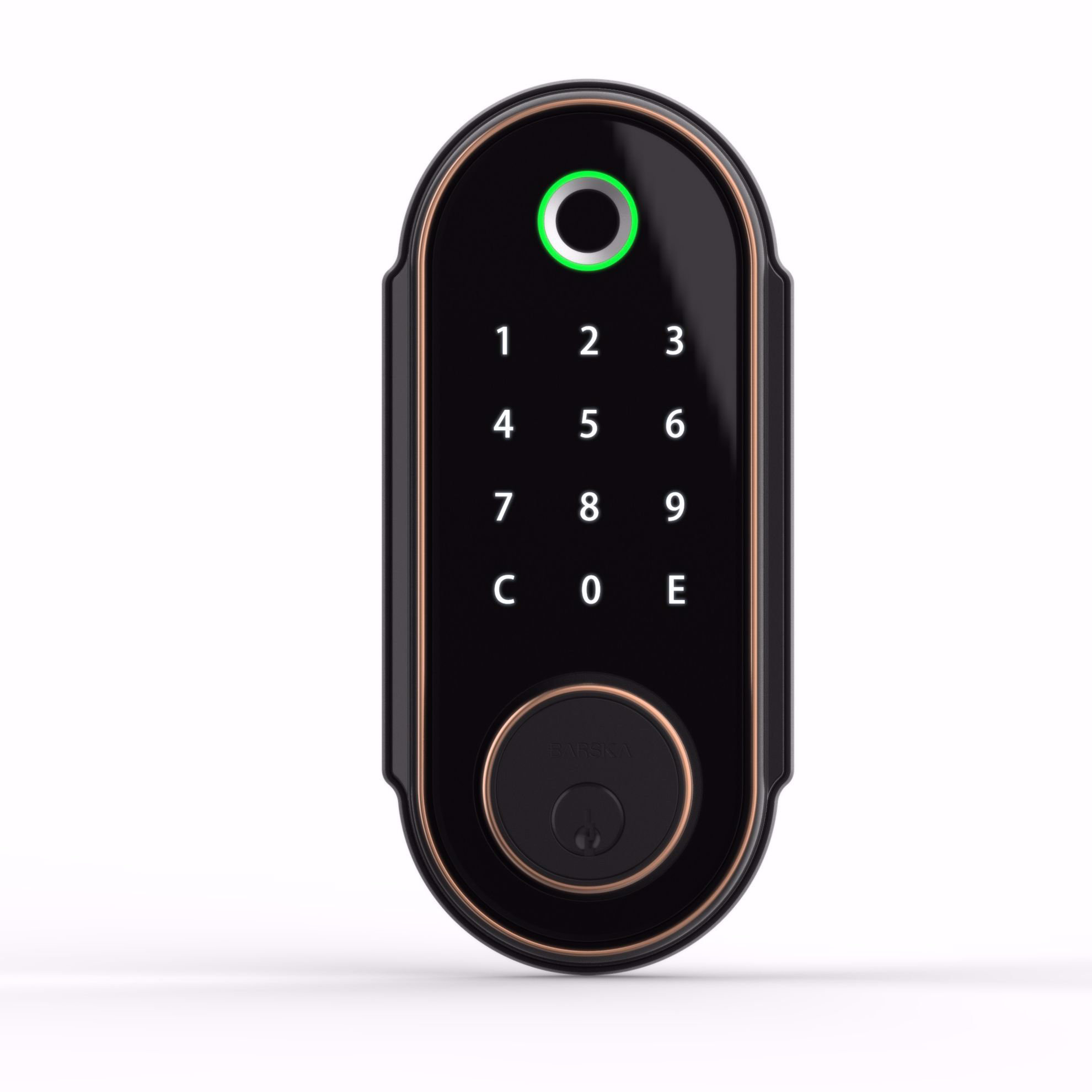 Barska Biometric Smart Keypad | Wayfair