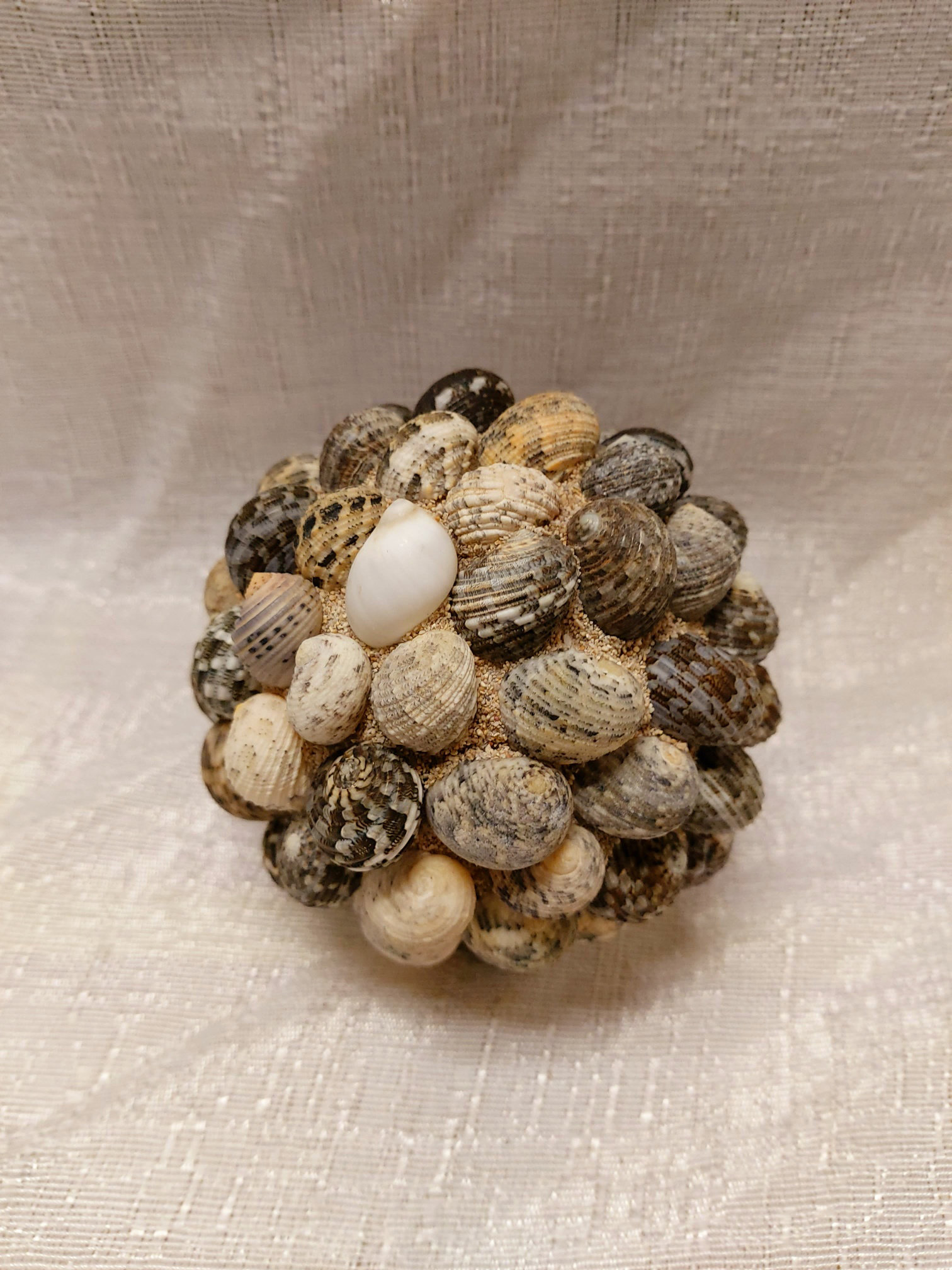 Highland Dunes Liberty Hill Sea Shell Ball Sculpture | Wayfair