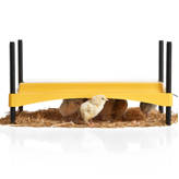 Brinsea EcoGlow Safety 1200 Chick Brooder & Reviews | Wayfair