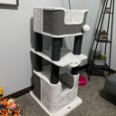 Archie & Oscar™ 43" Robyn Cat Tree & Reviews | Wayfair