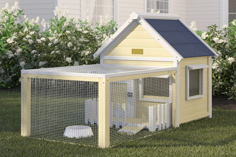 Our Guide to Small Animal Cages & Habitats - Wayfair Canada