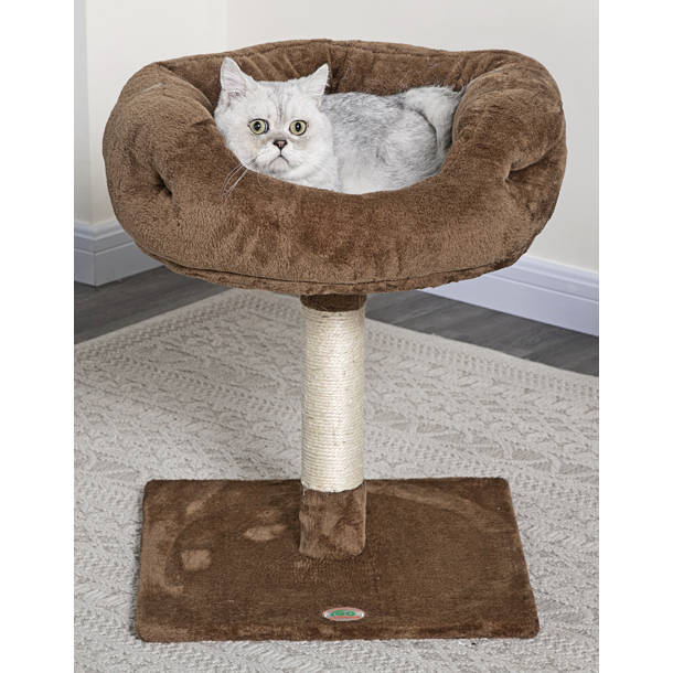 Prestige Cat Trees 32" Prestige Solid Wood Large Cat Tree & Reviews ...