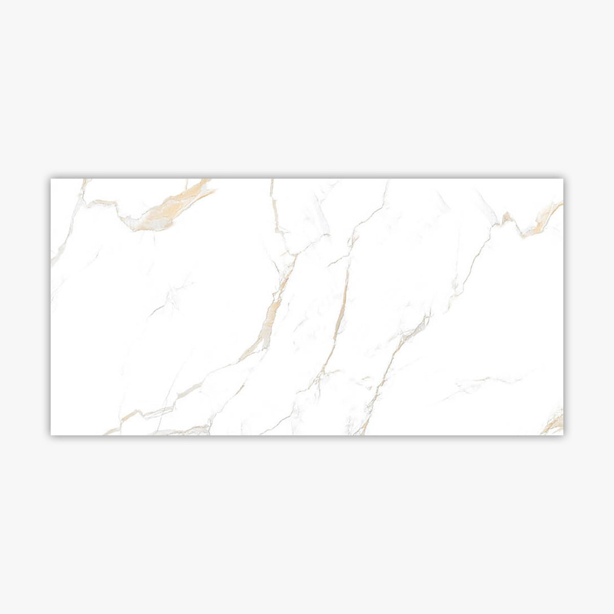 Direct Stone Source Calacatta 24" x 48" Porcelain Marble Look Wall ...