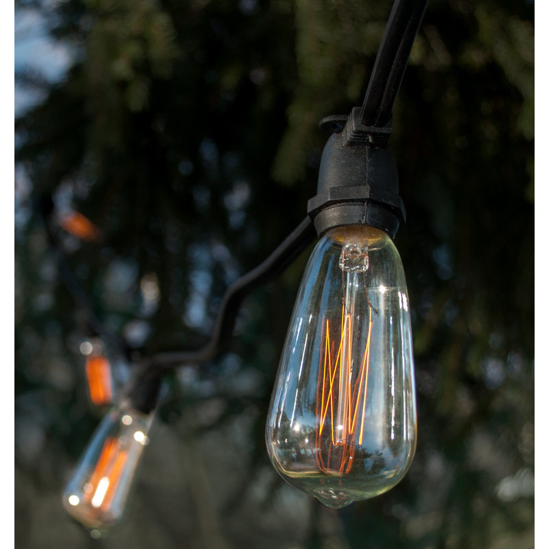 Arlmont & Co. Commercial Edison String Lights 100'' Outdoor 80 - Bulb ...