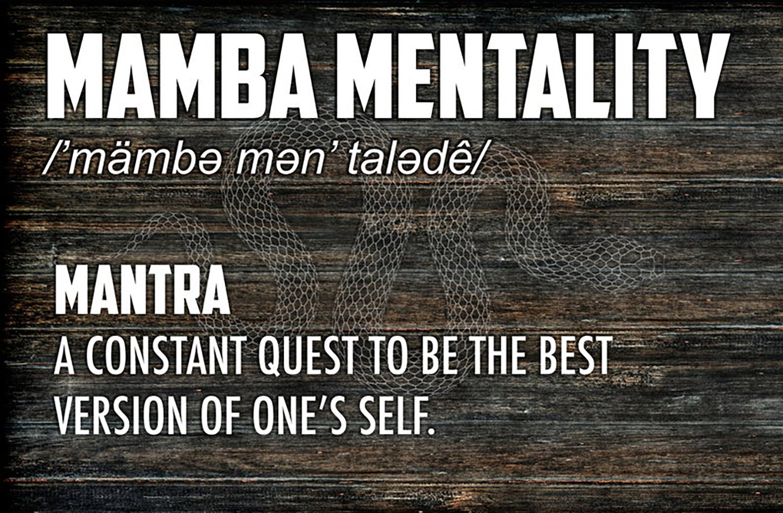 Millwood Pines The Mamba Mentality Canvas Print, Mantra Canvas Wall Art ...