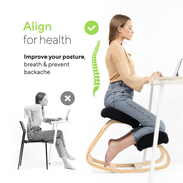 Luxton Home Ergonomic Chair Work from Home Posture Chair with Extra ...