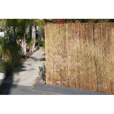 Backyard X-Scapes 6 ft H x 16 ft W Coffee Reed Fencing Decorative ...