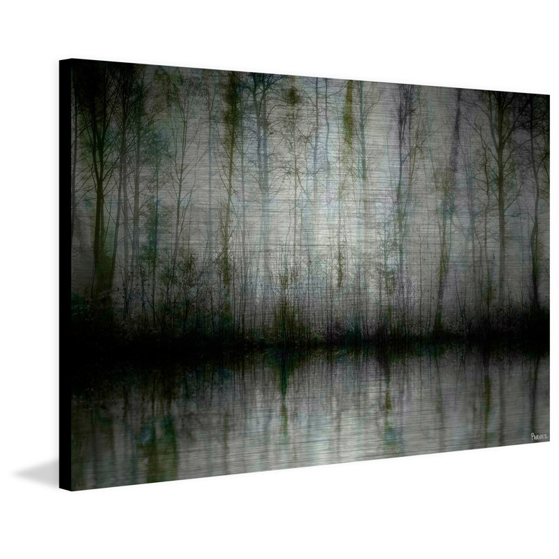Union Rustic Wispy Trees Reflect by Parvez Taj - Photograph on Metal ...