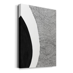 Wade Logan® Black & White Abstract II Framed On Canvas Print & Reviews ...