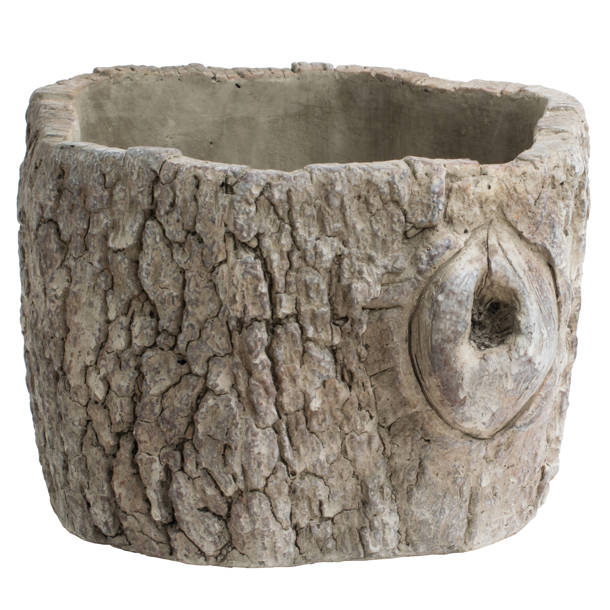 Highland Dunes Temple Cloud Decorative Tree Cement Pot Planter ...