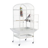 Wayfair | Bird Cages You'll Love in 2023