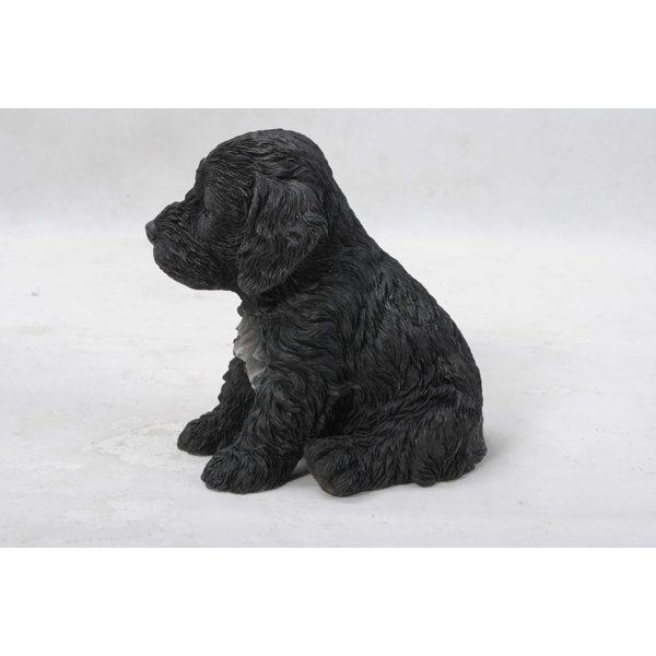 Hi-Line Gift Ltd. Sitting Cockapoo Puppy Statue & Reviews | Wayfair