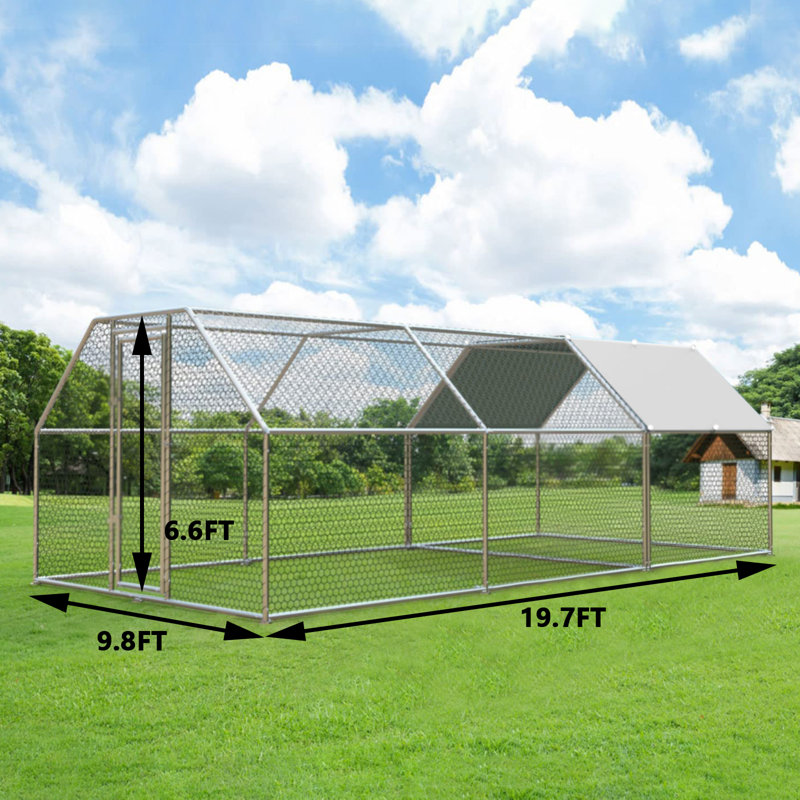 Tucker Murphy Pet™ Walk In Chicken Run & Reviews | Wayfair