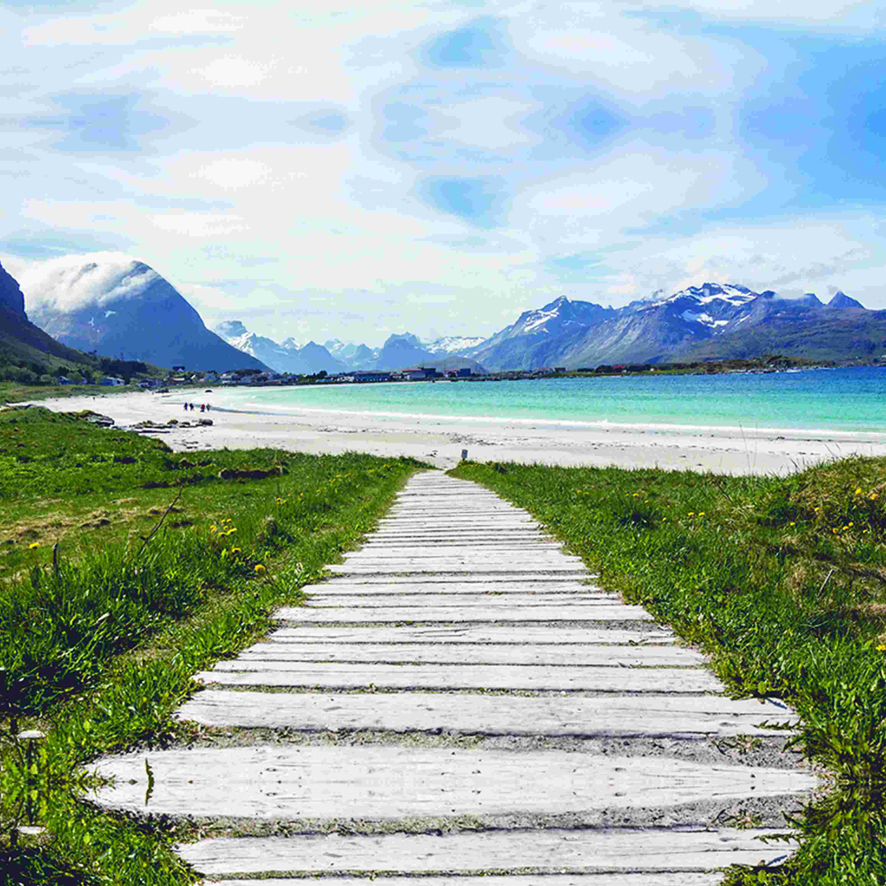 Rosecliff Heights Beach Path With Mountains by - on | Wayfair