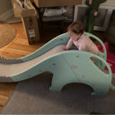 Gymax Kids Slide with Basketball Hoop Slide & Reviews | Wayfair