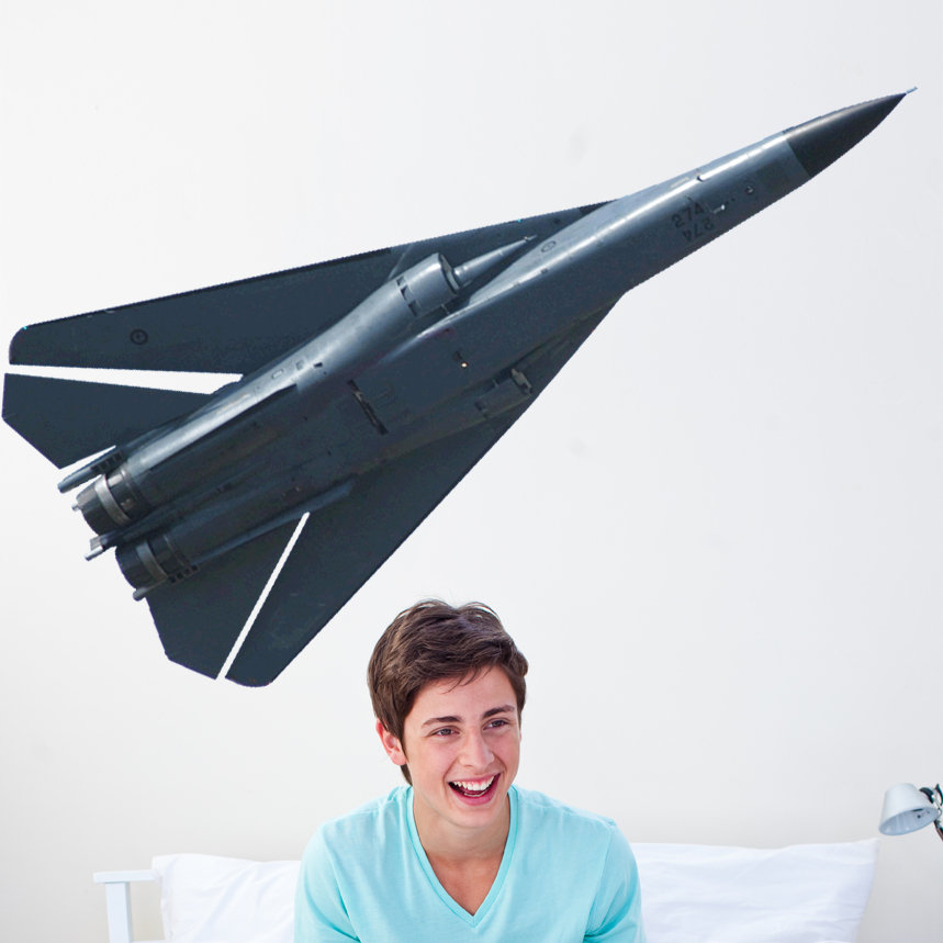 Wallhogs F-111 AardvarkWall Decal | Wayfair