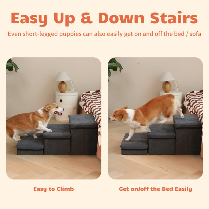 Tucker Murphy Pet™ 3-Tier Foldable Dog Stairs/Steps For Small Medium ...