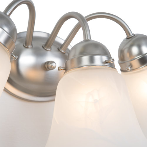 Winston Porter Canady 3 - Light Vanity Light & Reviews | Wayfair