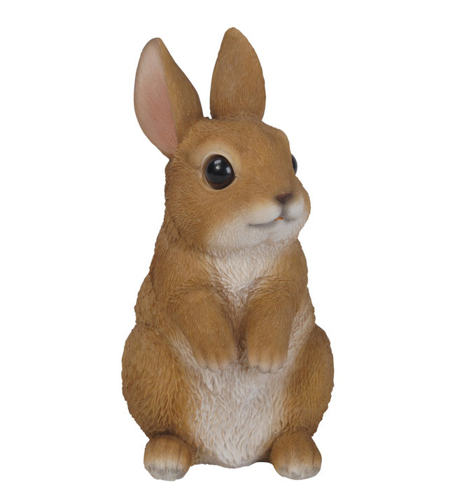 Hi-Line Gift Ltd. Standing Rabbit Statue & Reviews | Wayfair
