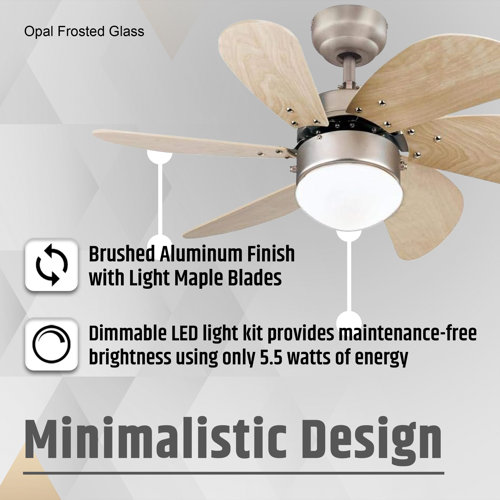 Ciata Lighting 30'' Ceiling Fan with LED Lights | Wayfair