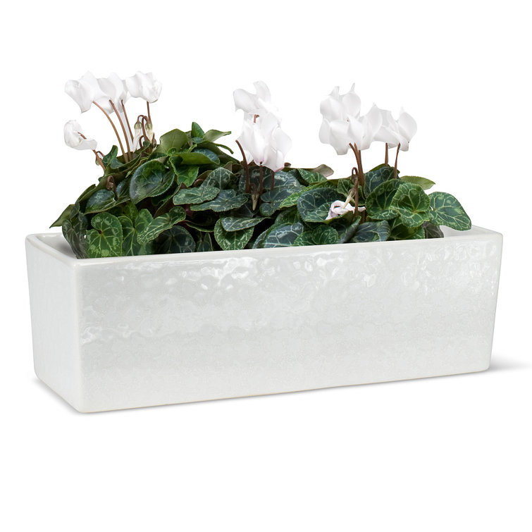 Latitude Run® Rectangular Clay Cachepot | Wayfair