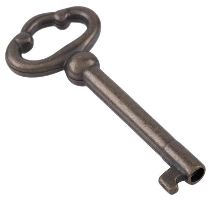 UNIQANTIQ HARDWARE SUPPLY Plated Hollow Barrel Skeleton Key - Wayfair ...